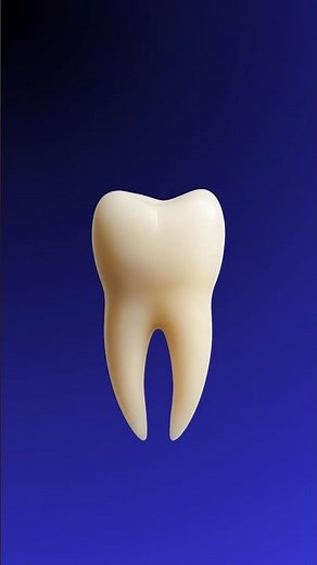 Did You Know Teeth Are Stronger Than This? Human Biology