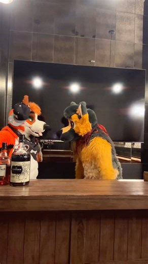 Samuel is very impressionable… you should know better @t@thatdogcoda#furry #tiktok #holidayseason