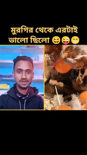 1.7M views · 8.9K reactions | আমি প্রথমে মুরগী ভেবেছি  | Al-amin Help | Facebook