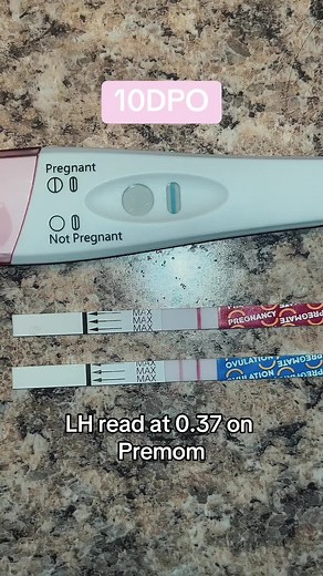 Cycle 4 CD 29 | 10dpo. I caved and took one. I dont want to get my hopes up but dies anyone see a vvvfl on both tests? I dont think they are indents because they have color to them? My LH is also rising for some reason. Am I crazy? #ttcjourney #ttccommunity #tryingtoconceive #tryingtogetpregnant #ttcmyfirst #ovulationtest #pregnancytests #fyp #anyadvice #faintpositive?