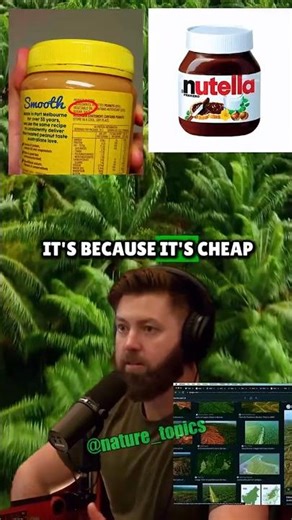 The True Cost of Palm Oil Deforestation