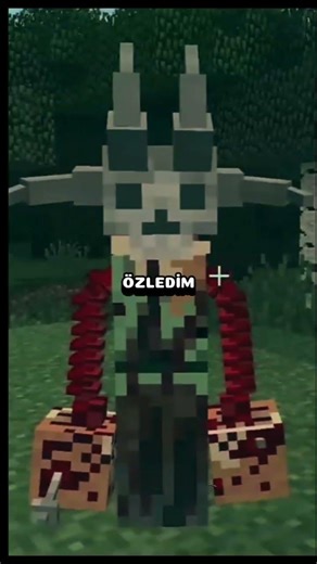 BoraLo edit #kesfet #minecraft ‪@EyoFlix‬