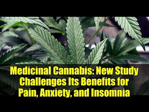 Medicinal Cannabis: New Study Challenges Its Benefits for Pain, Anxiety, and Insomnia