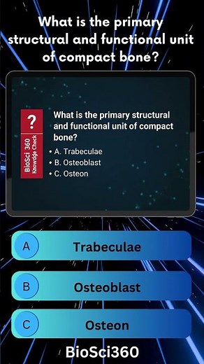 Bone Architecture The Primary Unit of Compact Bone