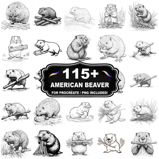 108  American Beaver Portrait Stamps, Beaver Illustration Brushes, Instant Digital Download - Etsy