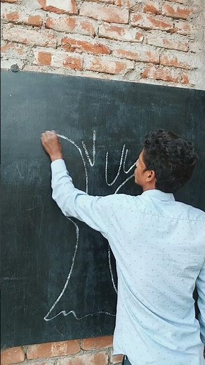 How to draw branch of trees 🌳