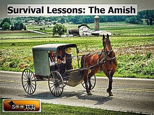 Survival Lessons from the Amish