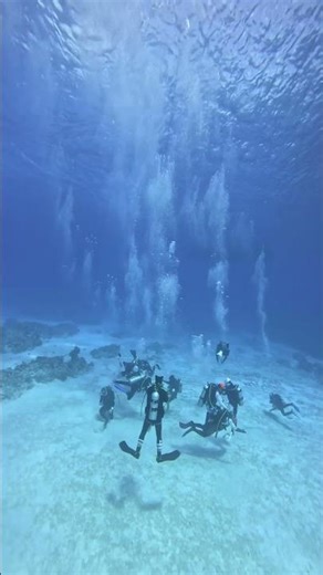Rise & Shield offers Scuba Diving Travel Insurance