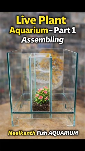 Live Plant Aquarium Setup Part 1 | Assembling Process |#short #trending #viral #fishaquarium