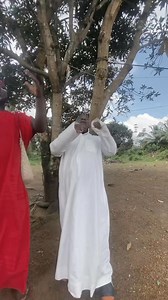 43K views · 2.6K reactions | Corrreh Baba and Chief priest  https://audiomack.com/natif/song/hmm?share-user-id=93500143 | Natif Official | Facebook
