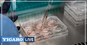 Que sait-on de ce nouveau variant très virulent du VIH identifié aux Pays-Bas?