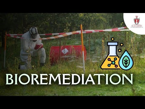 Bioremediation Explained | Types, Process & Examples | Environment Topic for UPSC & SSC Exams