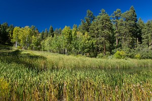 Forest and Rangeland Stewardship (B.S.) - Warner College of Natural Resources