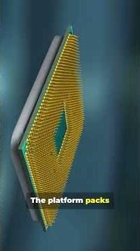 NVDA Investors WATCH THIS!