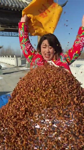 Crunchy Pistachio Magic | Fresh Green Pistachios ASMR Unboxing #pistachio