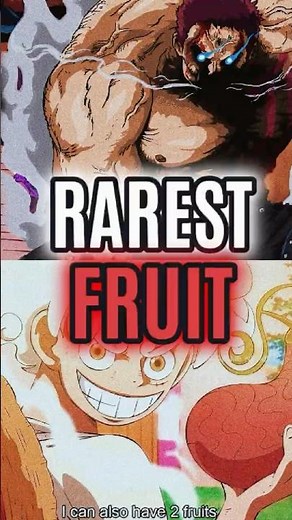 The RAREST Devil Fruits in One Piece Explained!