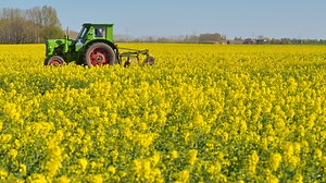 The Cooking Oil You Eat Was Designed To Lubricate Engines In WWII - Jalopnik