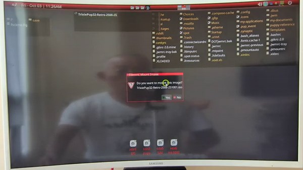 Manual upgrade in puppylinux: UEFI bios