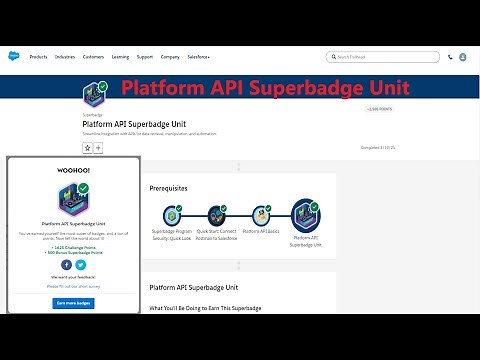 Platform API Superbadge Unit ||
