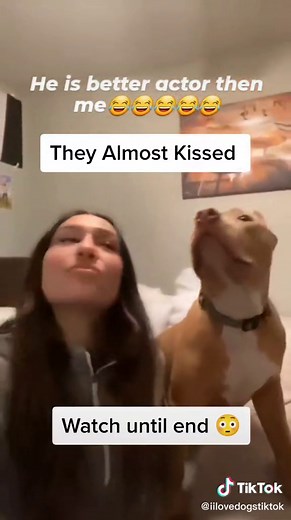 ILoveDogs op TikTok