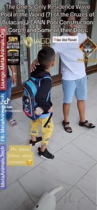 THE ONE & ONLY (?) RESIDENTIAL WAVE POOL IN THE WORLD OF THE CRUZES OF BULACAN, AND SOME OF THEIR DOGS @Doc Abel Manalo #dogs #wavepool #pool #swimmingpool #resorts #poolmakers #bulacan @tristanhuertas #jackrussel #toypoodle #saluki #bully #americanbully #pets #ManaloK9 #ManaloK9Resort #ManaloResort #pulilan | Doc Abel Manalo