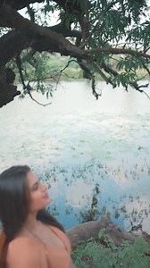 1K views · 7 comments | Transform your home into a tranquil oasis, where nature meets comfort!  Explore our stunning furniture pieces inspired by the great outdoors that will breathe life into your space. Ready to elevate your home? Check out our latest collection and let the beauty of nature inspire your next design! Click the link in our bio! . . . #WoodenStreet #Furniture #ChairDesign #LivingRoomInspo #Nature #NatureInspired #Outdoors #Aesthetic #NatureLove | Wooden Street | Facebook