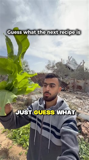 Mazen 🍉 on Instagram: "What I have in my hand is chard, but it has the same taste as spinach #gaza"