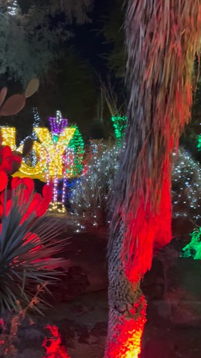 300 different species of cacti over 3 acres, one million lights have been illuminated tonight, as the Ethel M Cactus Garden has turned on the lights tonight! The team that places the lights go thru 100 pairs of gloves during the installation! Lisa Vannerson video. | Kevin Janison