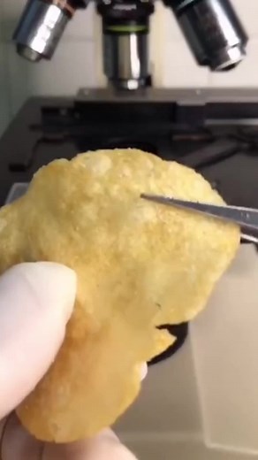 #microscopechallenge #microscopes #microscopetiktok #microscopics #microscopic #microscopy