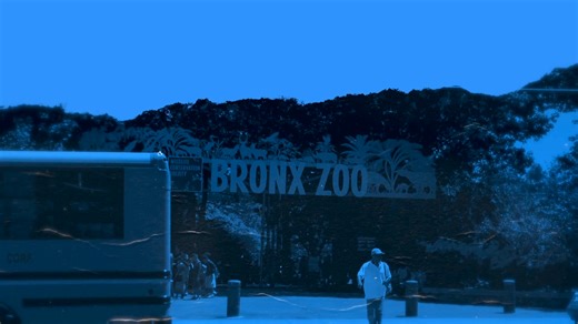 2K views · 33 reactions | Bronx Beat is back, and its latest edition features the Will.I.Dance program located just down the road from Yankee Stadium! Check out this preview, then watch the full version on the YES App. Link to download: onelink.to/yesapp | YES Network | Facebook