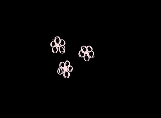 Flowers GIF Overlay for Videos - Etsy