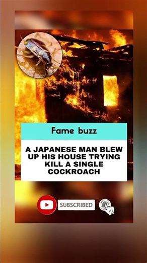 A Japanese Man Blew Up His House Trying to Kill a Cockroach 😳🔥#shorts