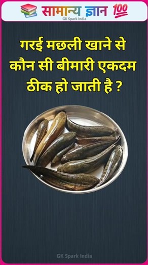 TOP 20 GK questions 🔥📚।। GK question and answer ✍️।। GK Spark India #shorts #gkinhindi