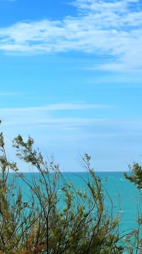 This might be the prettiest thing I’ve ever see | Cailyn Henderson