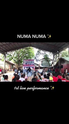 eto na po yung numa numa full video #thehouseofallstars #thewildones #theglamazons #fyp