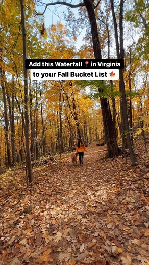 67K views · 124 reactions | Here’s a must-do waterfall hike in...