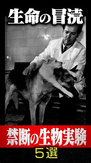 キリン【考察系youtuber】 on Instagram: "生命を冒涜しすぎた禁断の生物実験5選 #動物 #実験 #犬 #猿 #衝撃 #闇 #危険 #禁忌 #歴史"