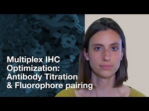 Multiplex IHC Optimization: Antibody Titration & Fluorophore Pairing | CST Tech Tips
