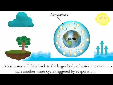 The Cycling of Materials in Ecosystem