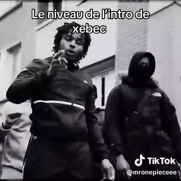 Xebec Introduction Analysis in One Piece