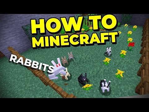 Getting EVERY Rabbit in Minecraft - How To Minecraft #71
