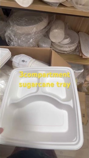 3 Compartment Plates Disposable School Trays Made of Sugarcane Disposable Plates with Compartments