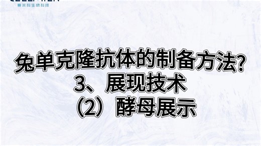 兔单抗制备：酵母展示技术的原理、流程与独特优势