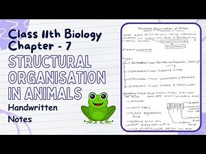Structural Organisation in Animals - Notes PDF || Class 11th Biology Chapter 7 Handwritten Notes
