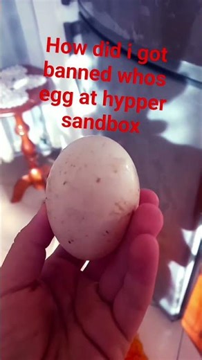 Is this egg at hypper sandbox?