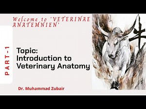 Basic Introduction to Veterinary Anatomy | Doctor Muhammad Zubair