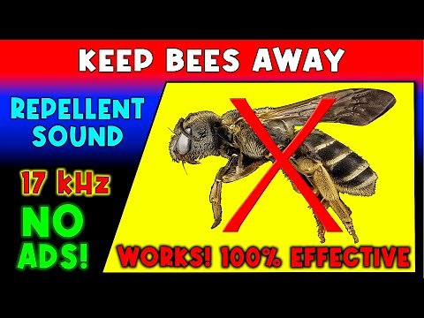 ANTI BEES REPELLENT SOUND ⛔🐝 KEEP BEES AWAY - ULTRASONIC SOUND
