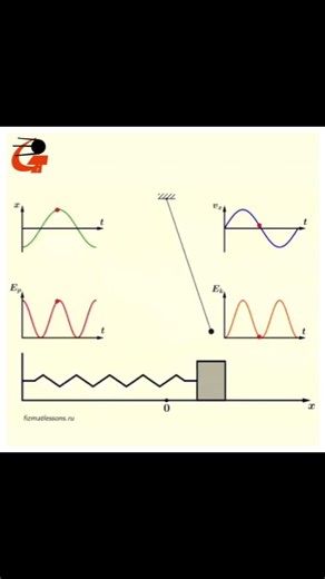 1.7K views · 58 reactions | Da série: Mecânica. Sistema Massa-Mola. Movimento Harmônico Simples. Oscilação Harmônica. Gráficos da Posição, Energia Cinética, Potencial e da Velocidade. Pêndulo Simples. MOVIMENTO HARMÔNICO SIMPLES #GIFísica #gifsdefisica #sistemamassamola #energiacinética #energiapotencial #movimentoharmônicosimples #oscilaçãoharmônica #PênduloSimples #graficos | GIFs de Física | Facebook