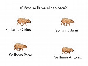 El Capibara Con Botas
