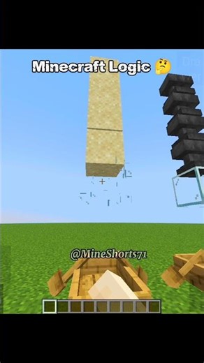 Minecraft Logic 🤔 #minecraft #shorts #minecraftshorts
